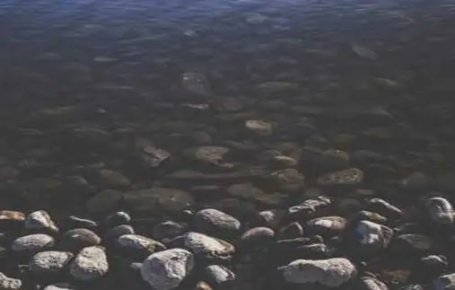 MBTI F와 T의 의사결정 차이 분석- 딥커런트